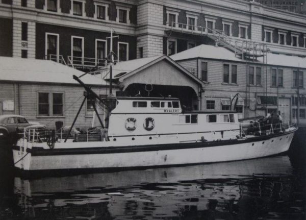 HDML 1189 – The Medusa Trust