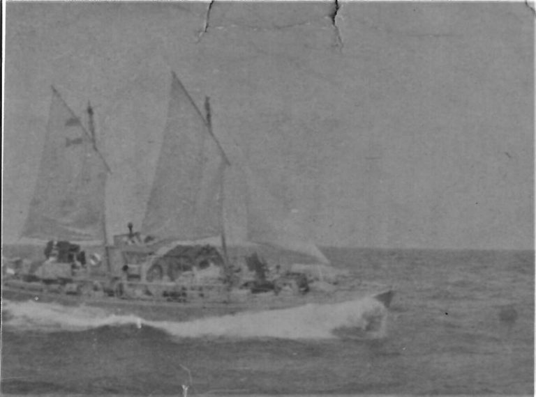 HDML 1152 – The Medusa Trust